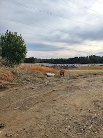 LKQ Pick Your Part - Greer in Greer, SC 29651 | USCarJunker